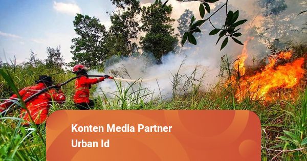 Titik Panas di Sumsel Meningkat, BMKG: Waspada Karhutla | kumparan.com